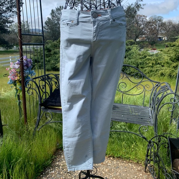 Dittos | Jeans | Dittos Light Blue Crop Skinny Jeanshp25 | Poshmark